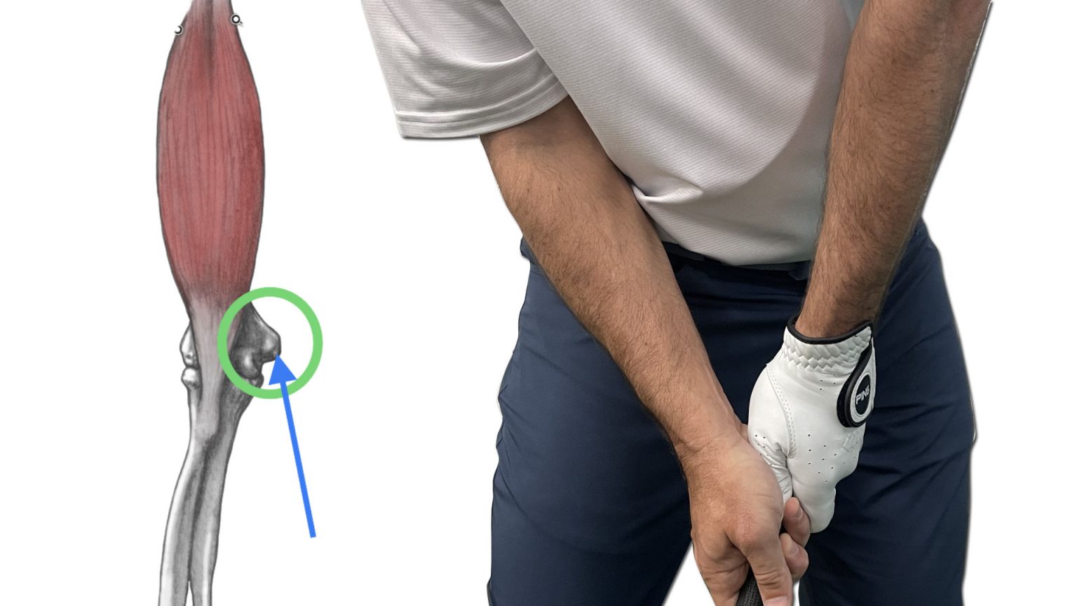 Ben Hogan's Magic Elbow | The Secret to Amazing Ball Striking • Top ...
