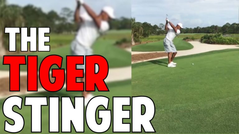 How to Hit the Tiger Stinger in Crazy Detail • Top Speed Golf